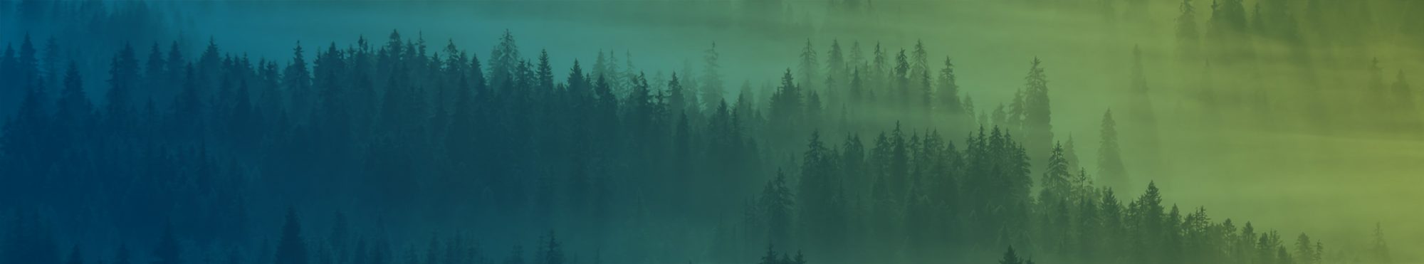 Climate Change and Forests | NCASI