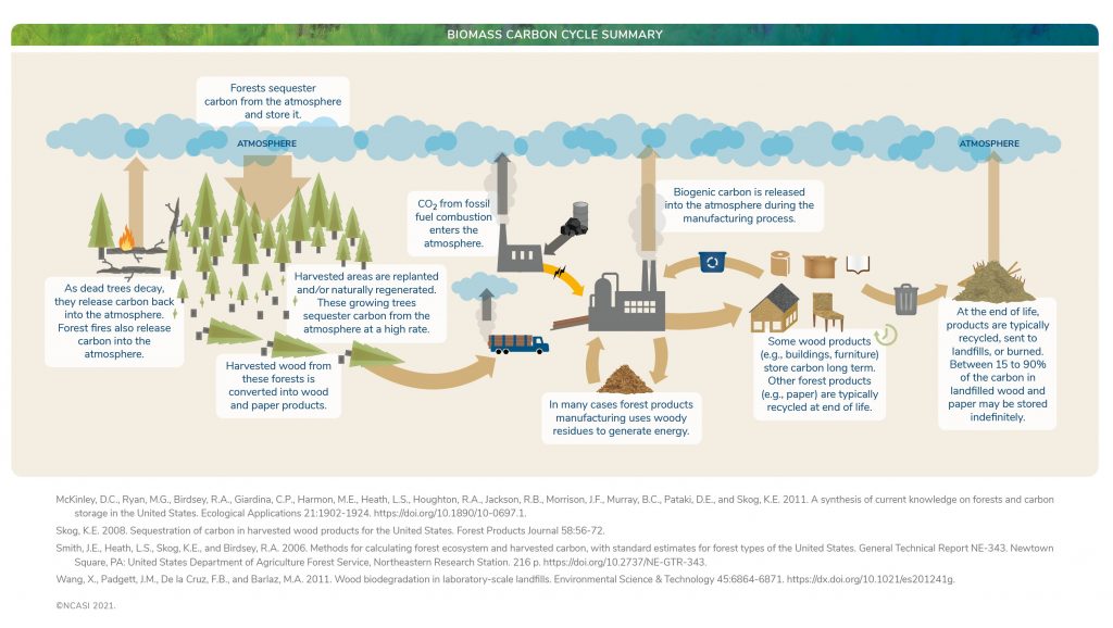 Biomass Carbon Cycle Diagram | NCASI