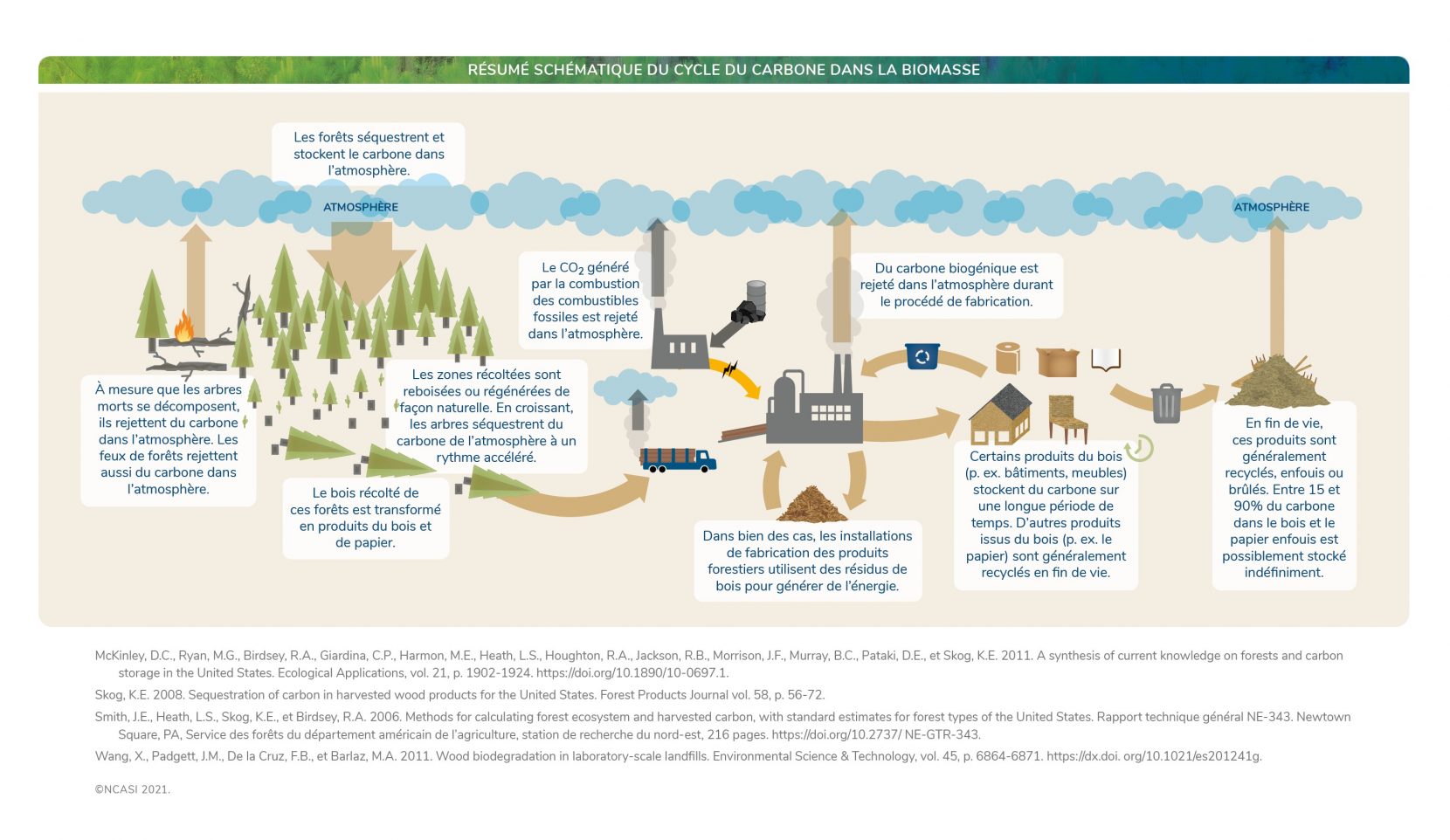 Biomass Carbon Cycle Diagram | NCASI