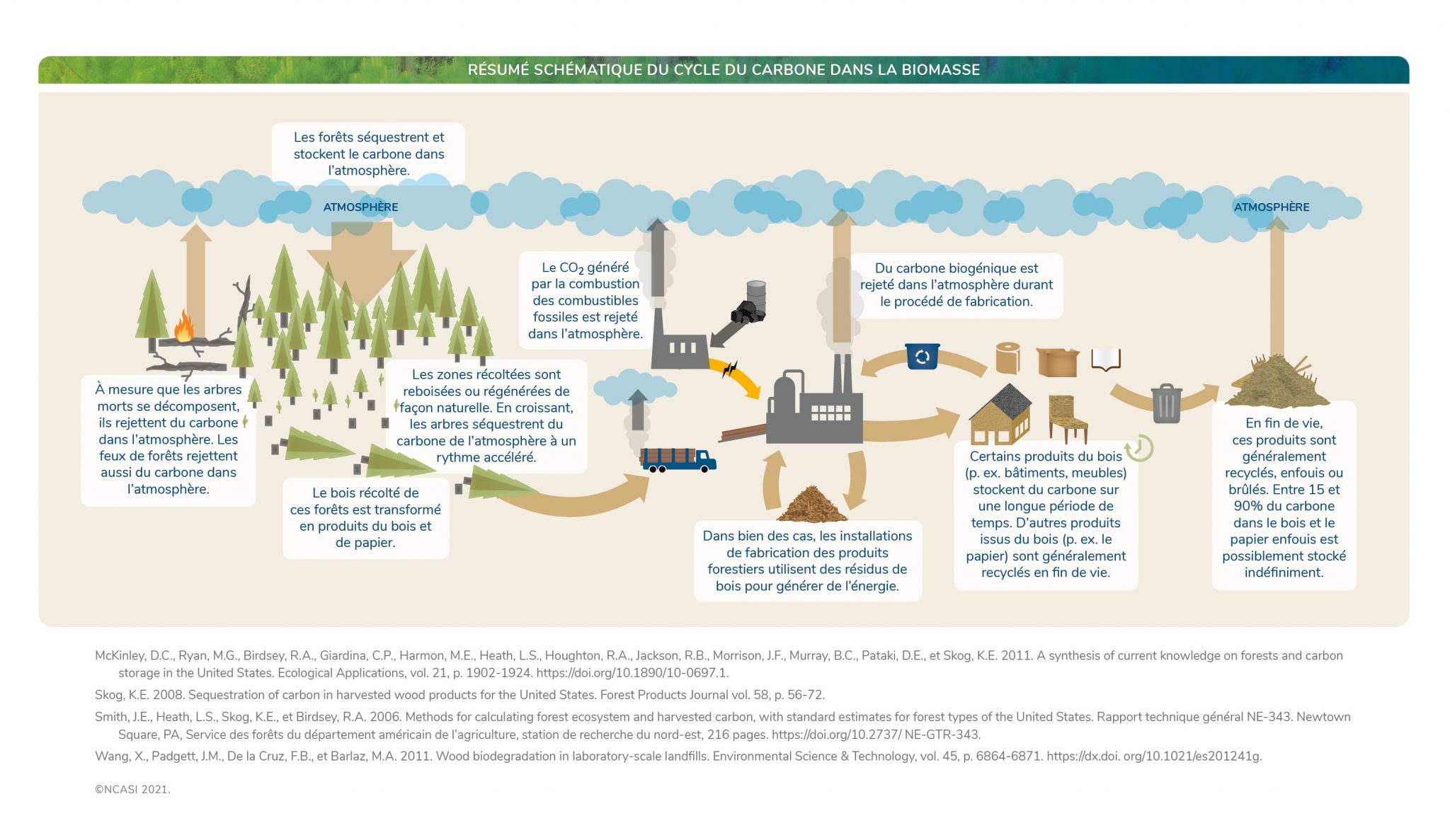 Biomass Carbon Cycle Diagram | NCASI