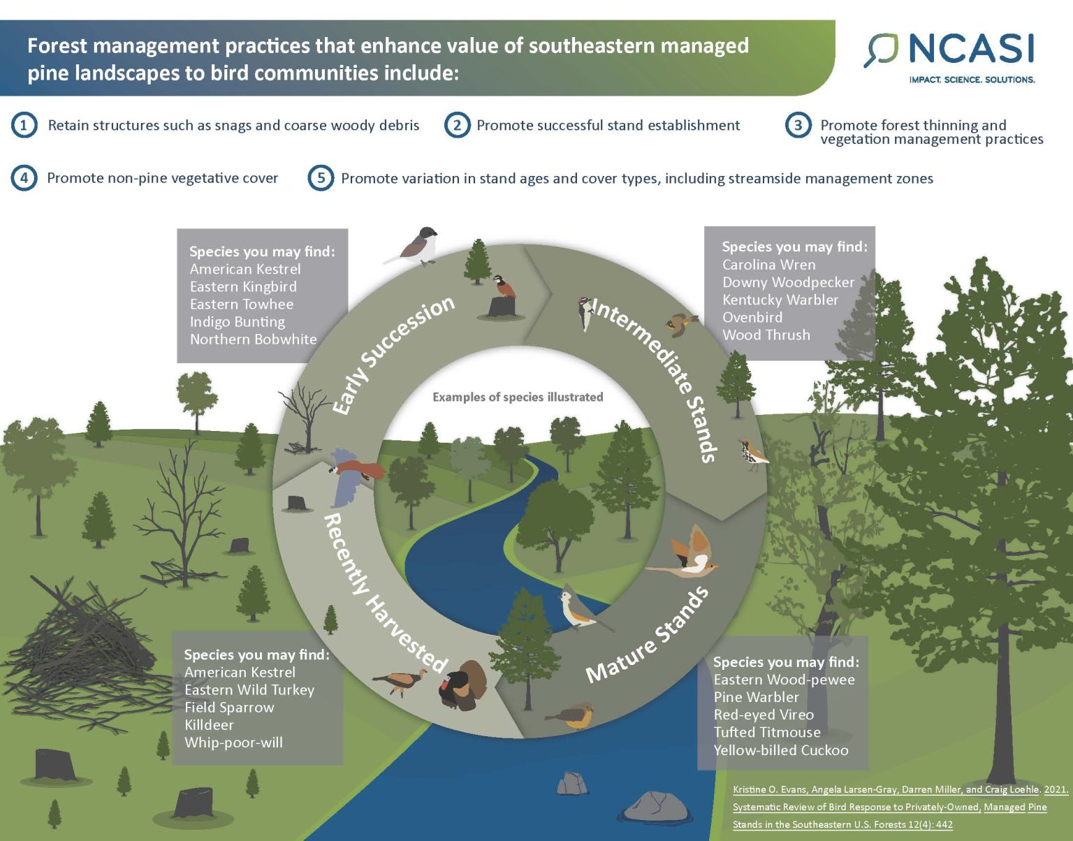 Forest management practices that enhance value of southeastern managed ...